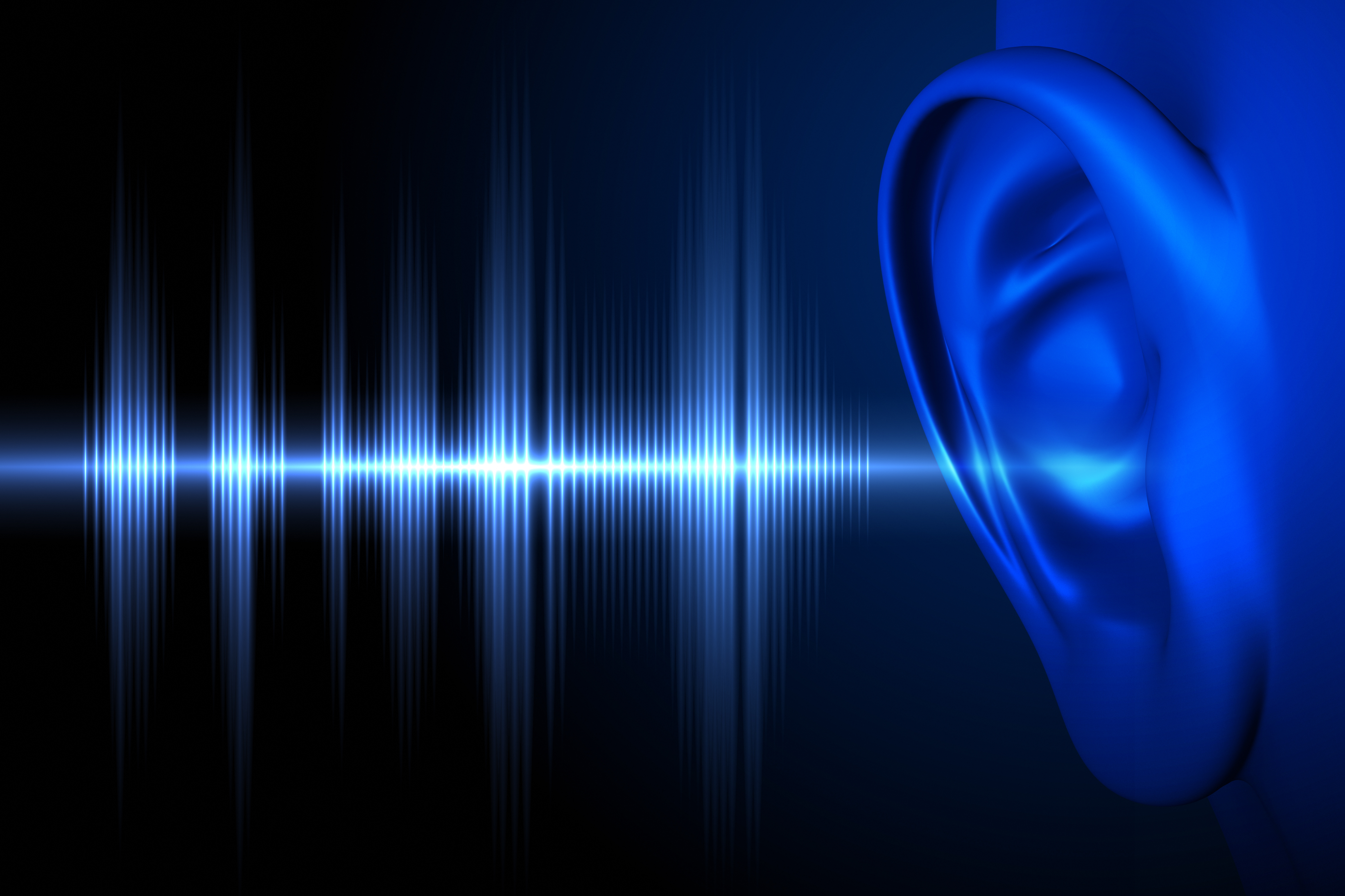South Florida Sound Masking/Speech Privacy | Blue Wave Communications